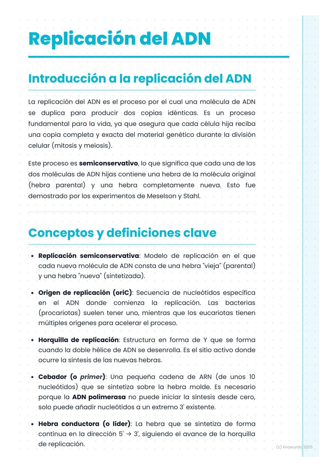 Cómo se Replica el ADN y sus Enzimas Clave (Biología y Geología) como PDF - Knowunity